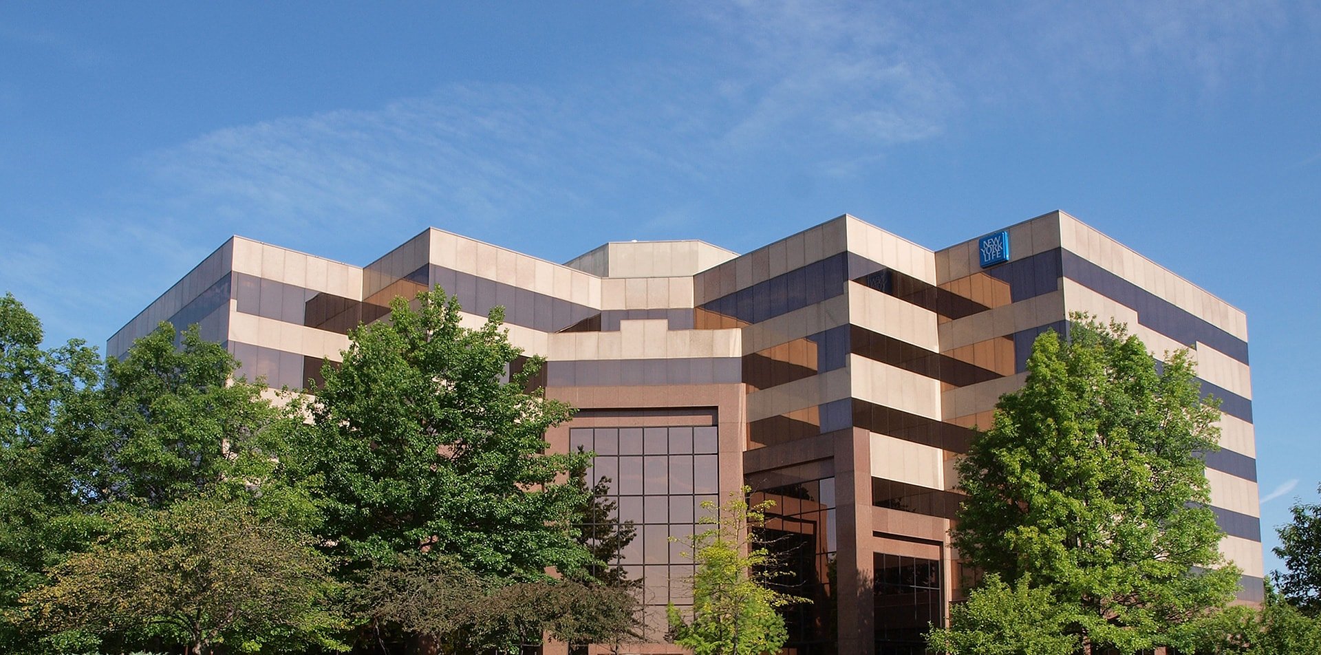 Management Team - Dalad Group